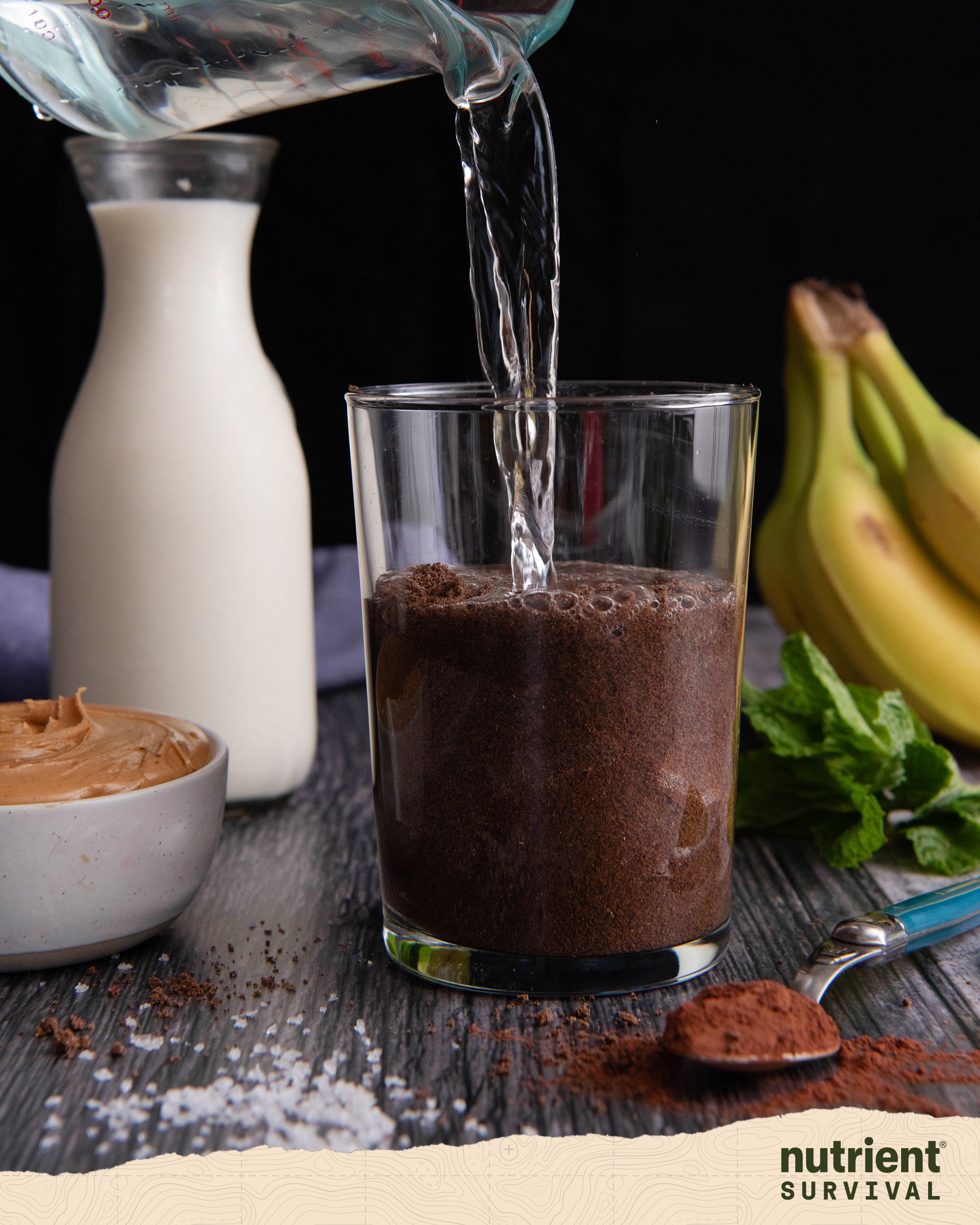 Brain Shake® Chocolate - Singles 5-Pack – Nutrient Survival